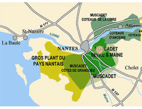 Muscadet Sèvre et Maine & Vins de Loire